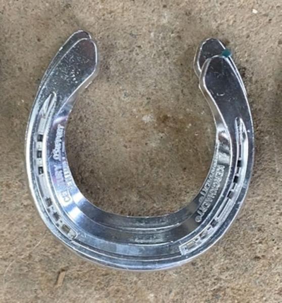 Poznaj różne rodzaje butów dla koni i dowiedz się, czym się różnią ...